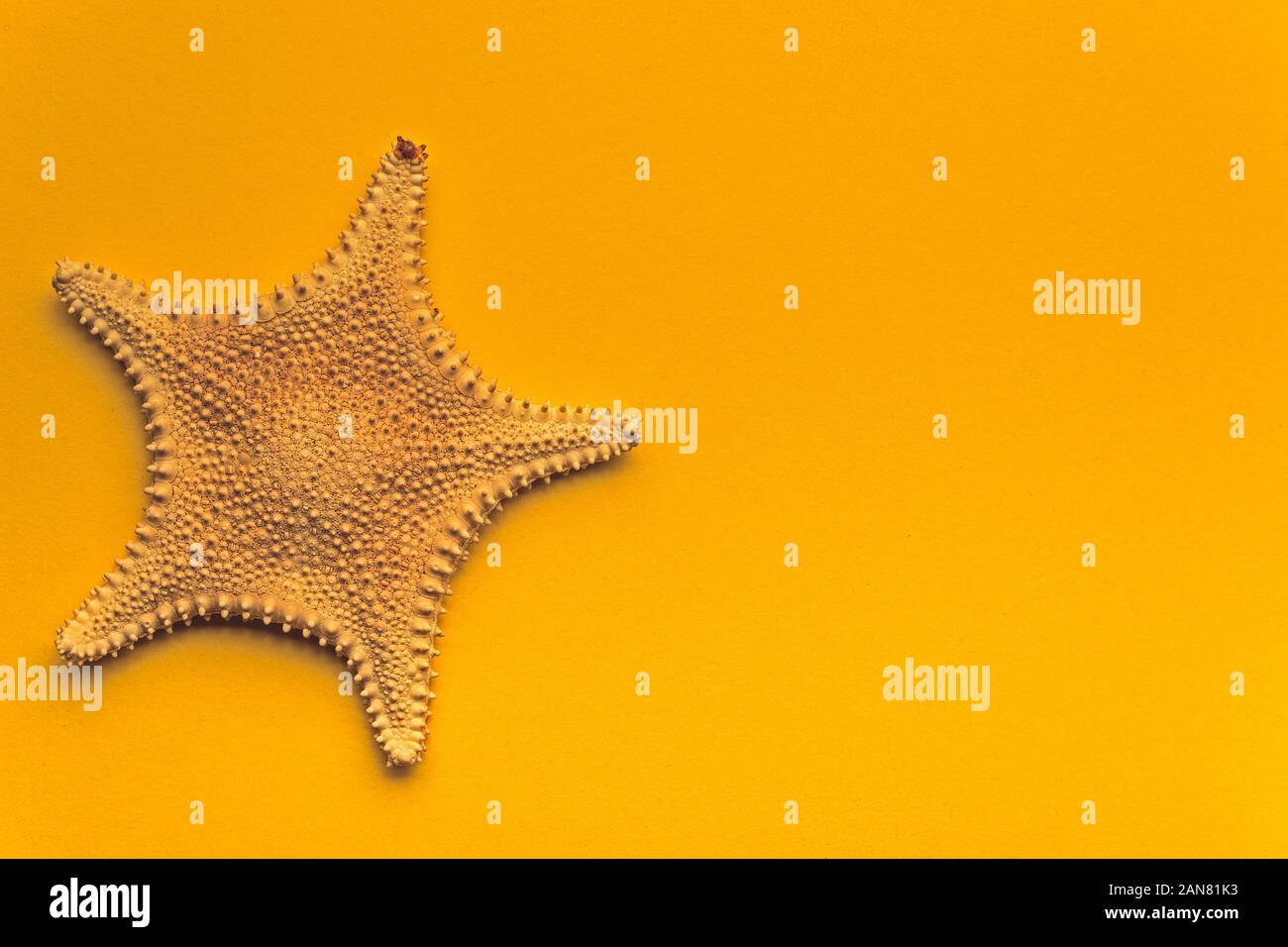 Starfish over yellow background. View from above Stock Photo - Alamy