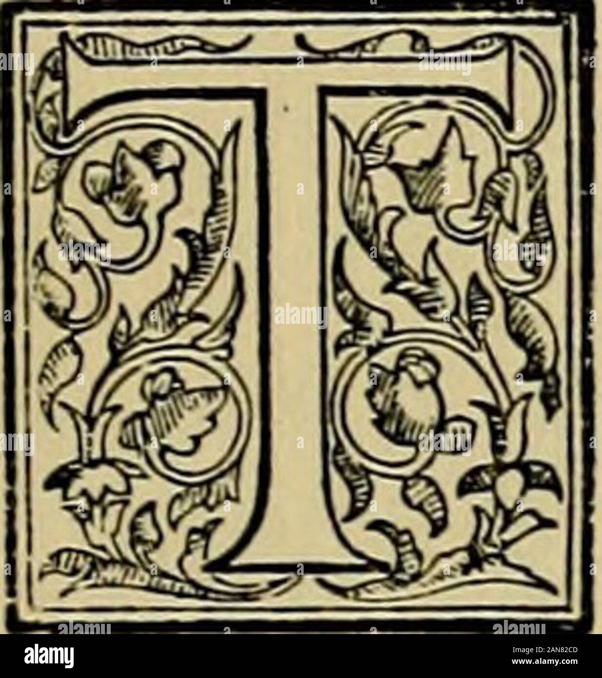 Scutage hi-res stock photography and images - Alamy