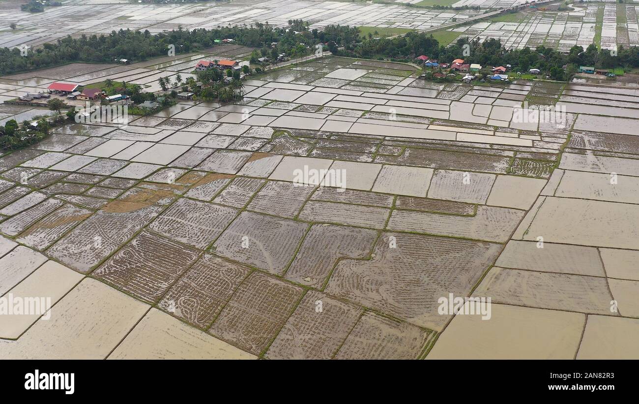 Agricultural fields on the island of Luzon. Philippine village and rice ...