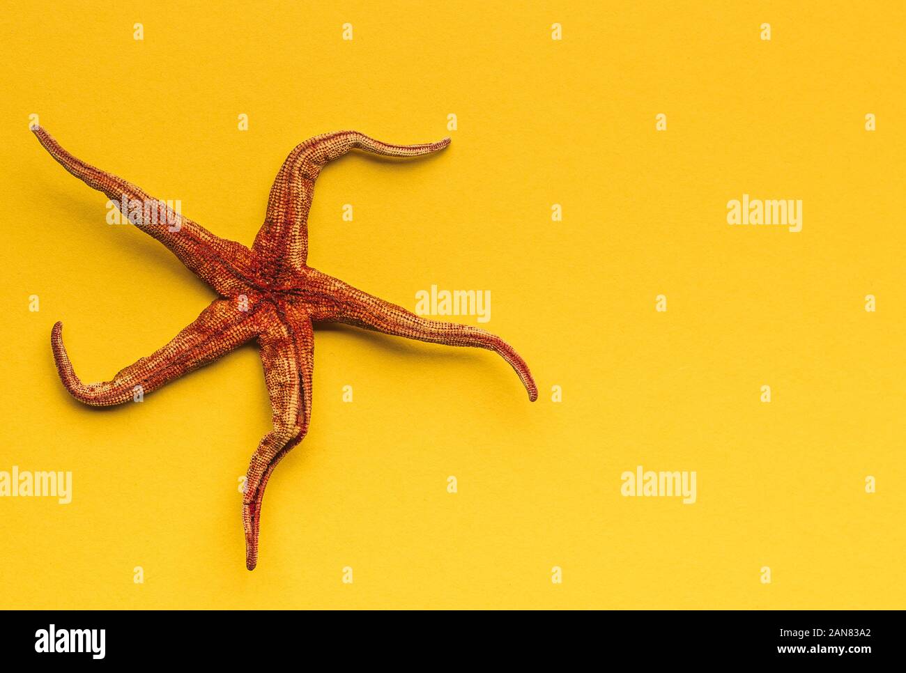 Starfish over yellow background. View from above Stock Photo - Alamy