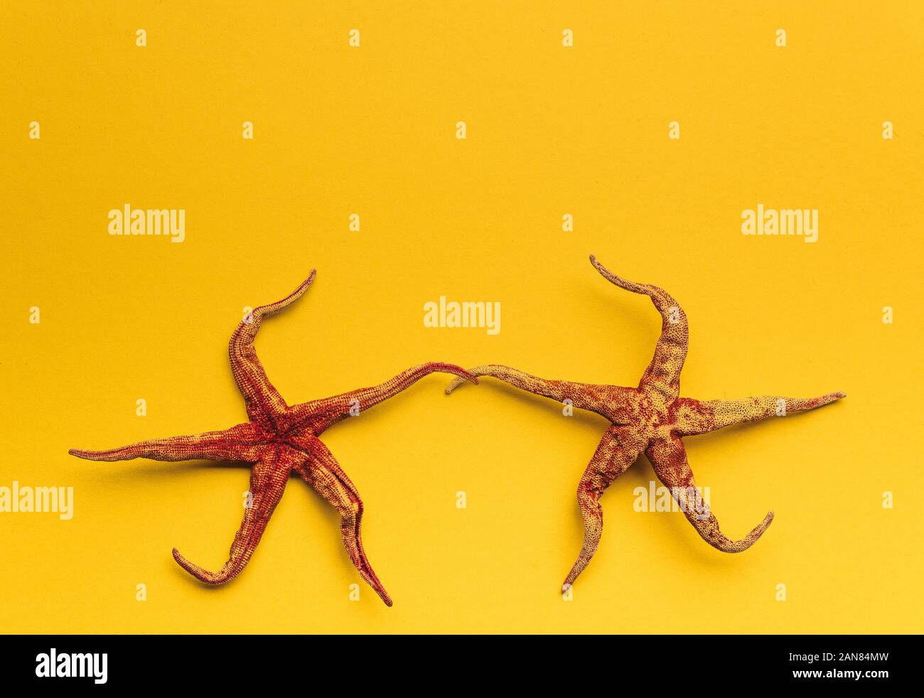 Starfish over yellow background. View from above Stock Photo - Alamy