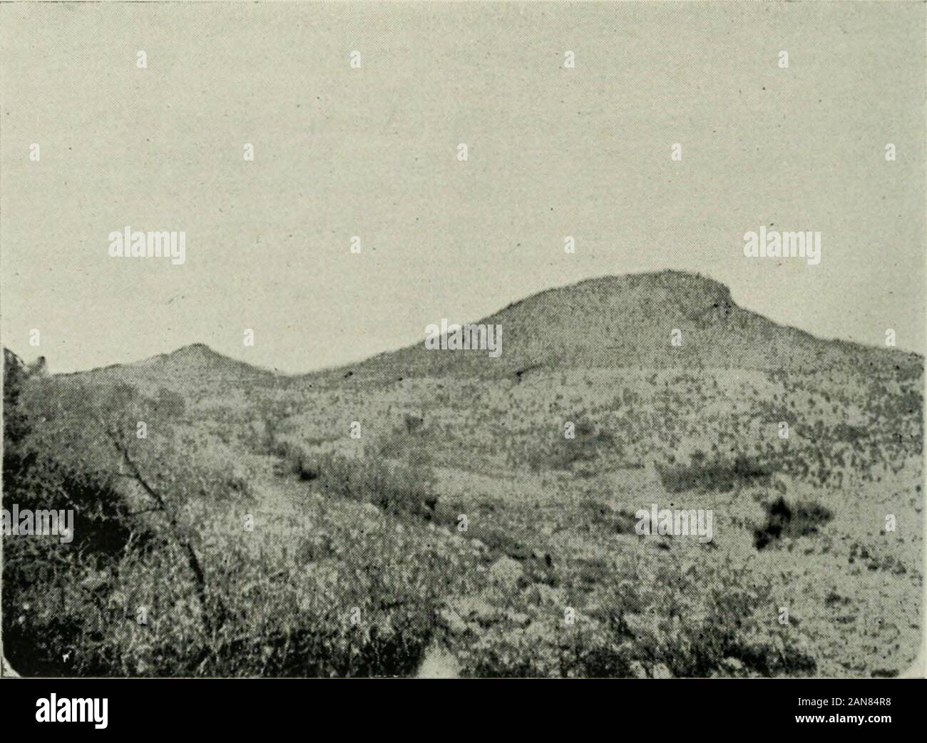 El Aref High Resolution Stock Photography and Images - Alamy