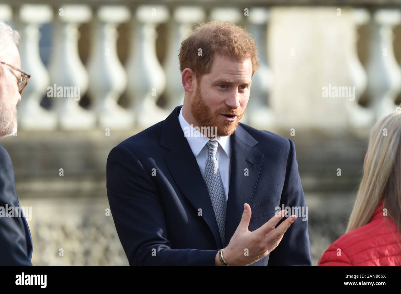The Duke of Sussex in the Buckingham Palace gardens, London, as he ...