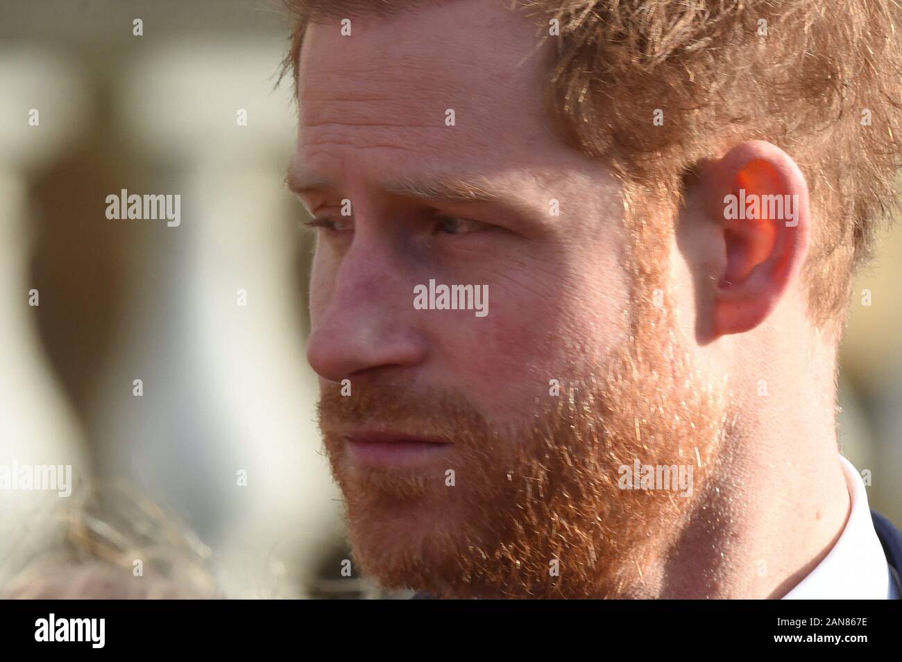 The Duke of Sussex in the Buckingham Palace gardens, London, as he ...