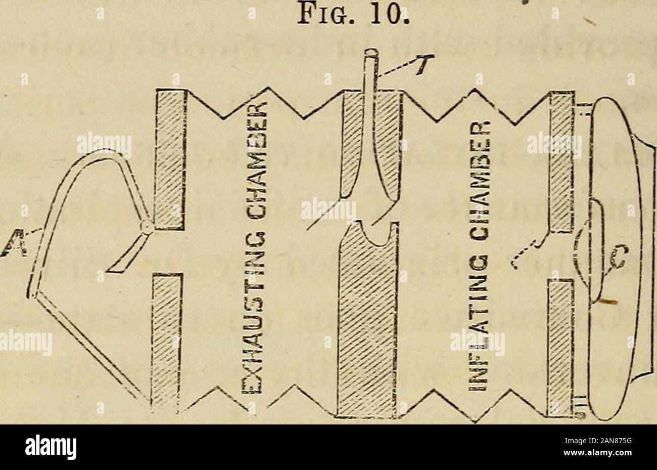 Respiration bellows hi-res stock photography and images - Alamy