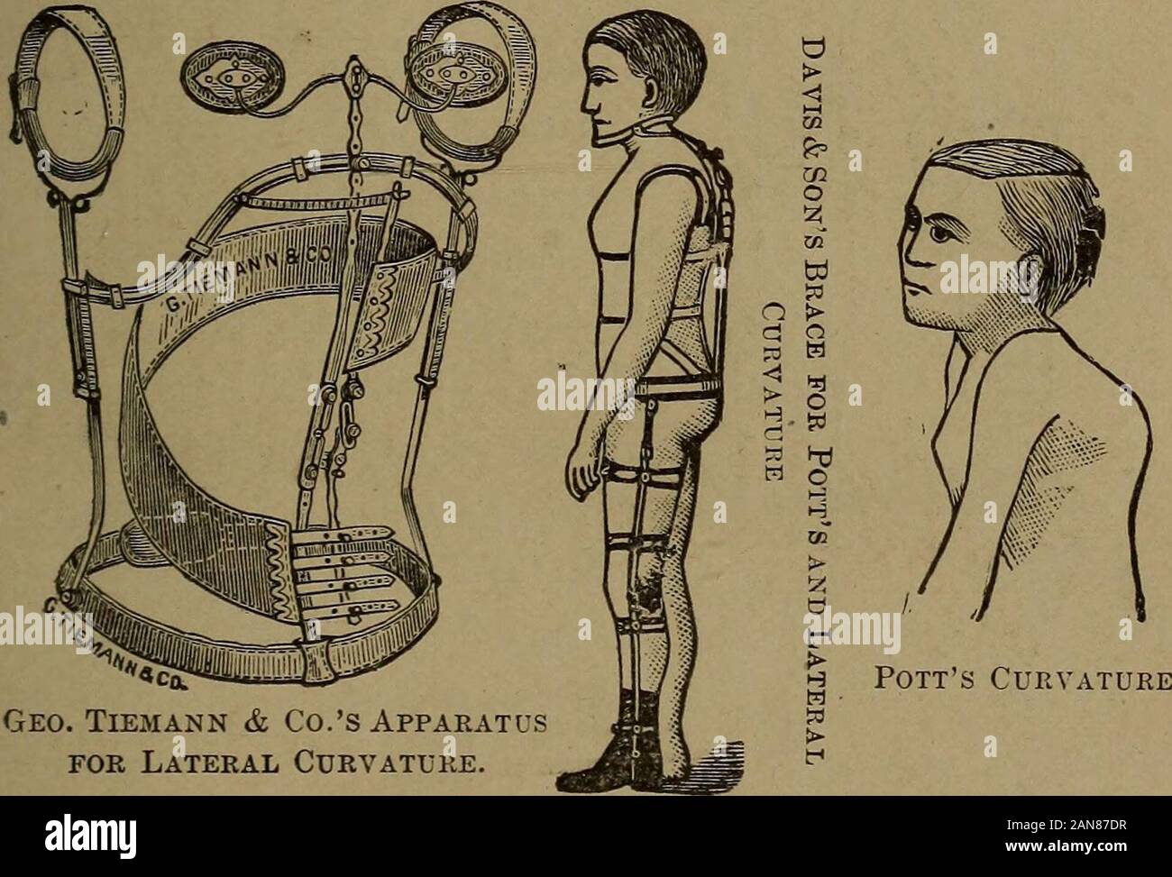 Lectures on the physiological laws of life, hygiene, and a general ...