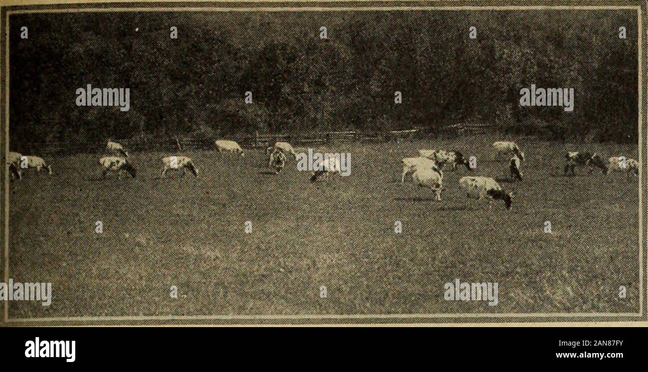 May welland hi-res stock photography and images - Alamy