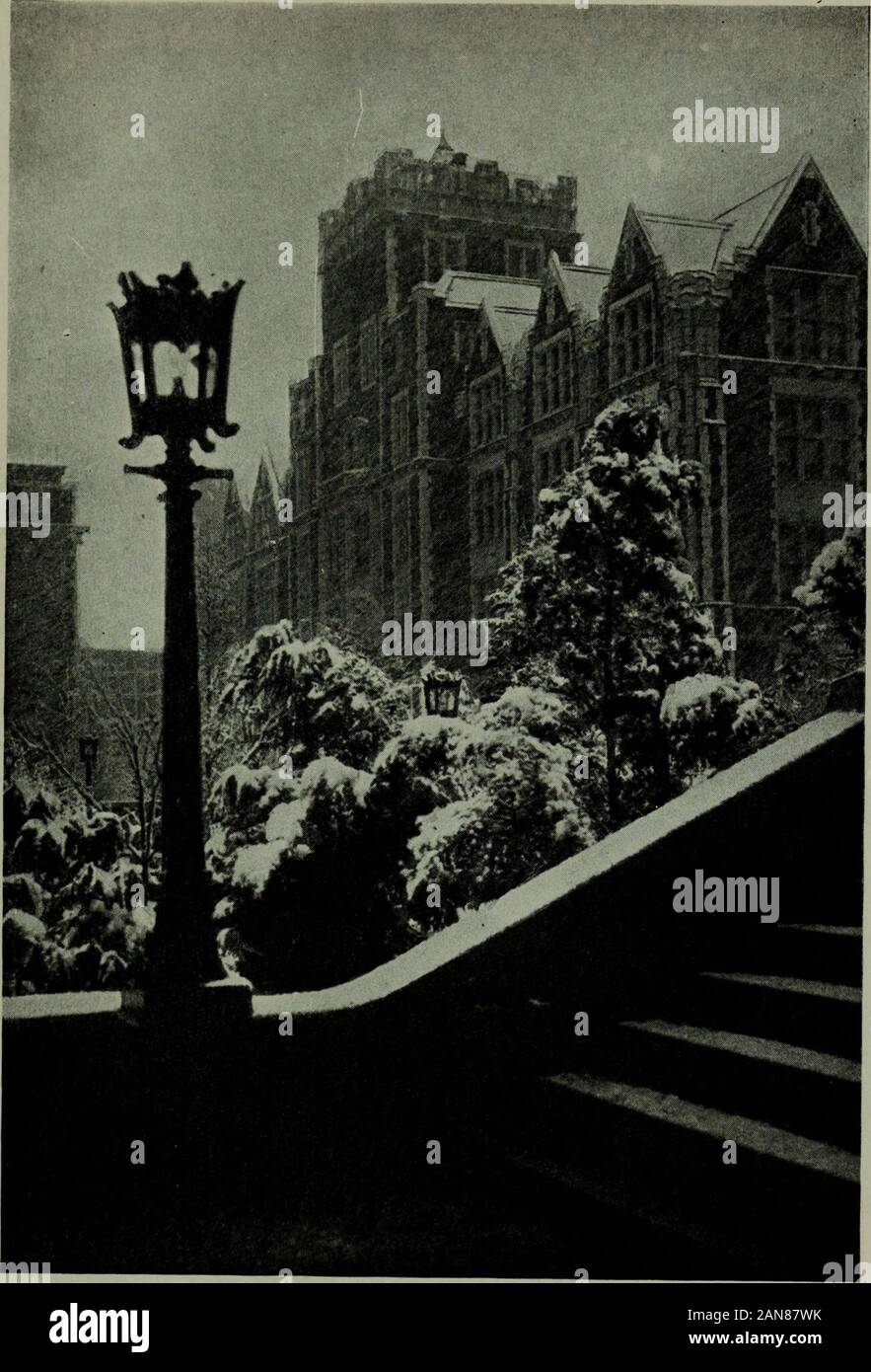 The American annual of photography . PRIMULA. NATHAN R. GRAVES. 202 ...
