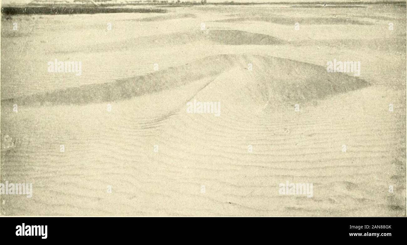 Longitudinal Sand Dunes