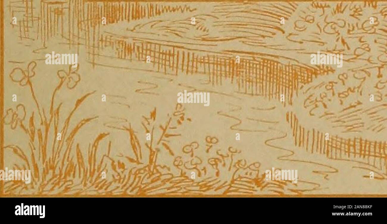 Love poems from the works of Robert Browning and Elizabeth Barrett ...