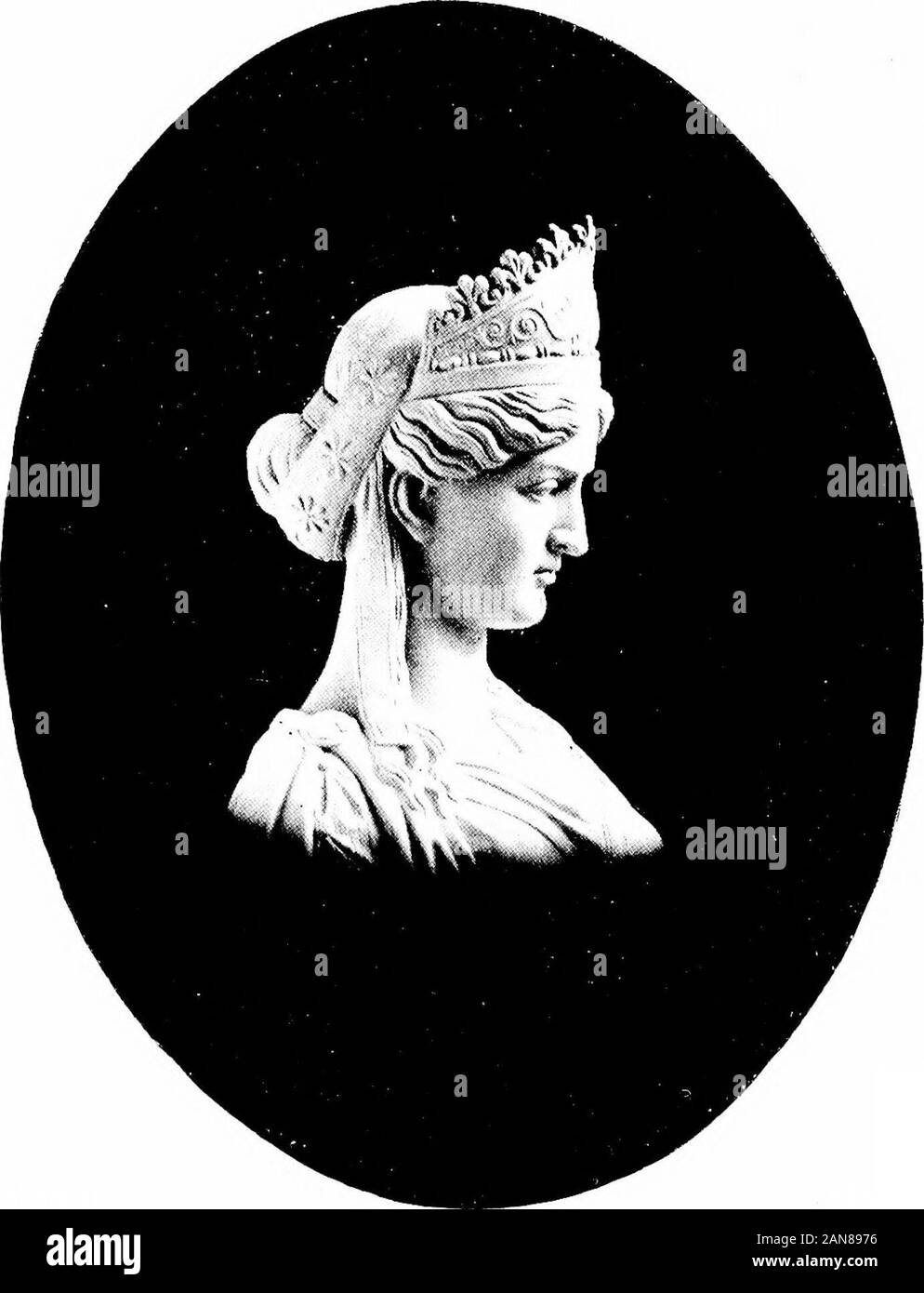 Emperor probus hi-res stock photography and images - Alamy