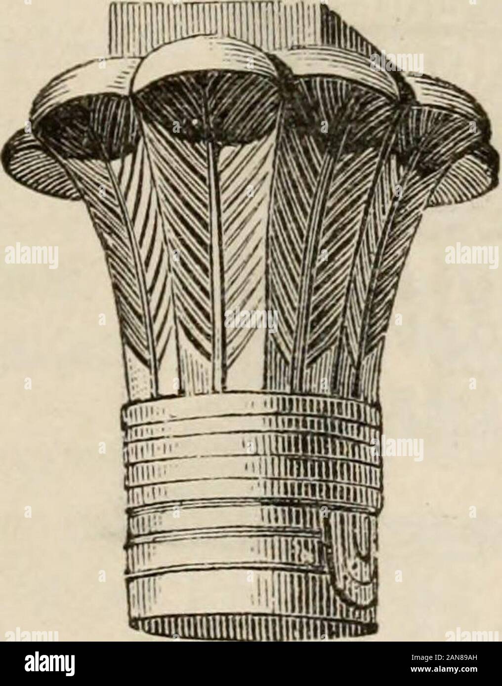 Egyptian Column High Resolution Stock Photography and Images - Alamy