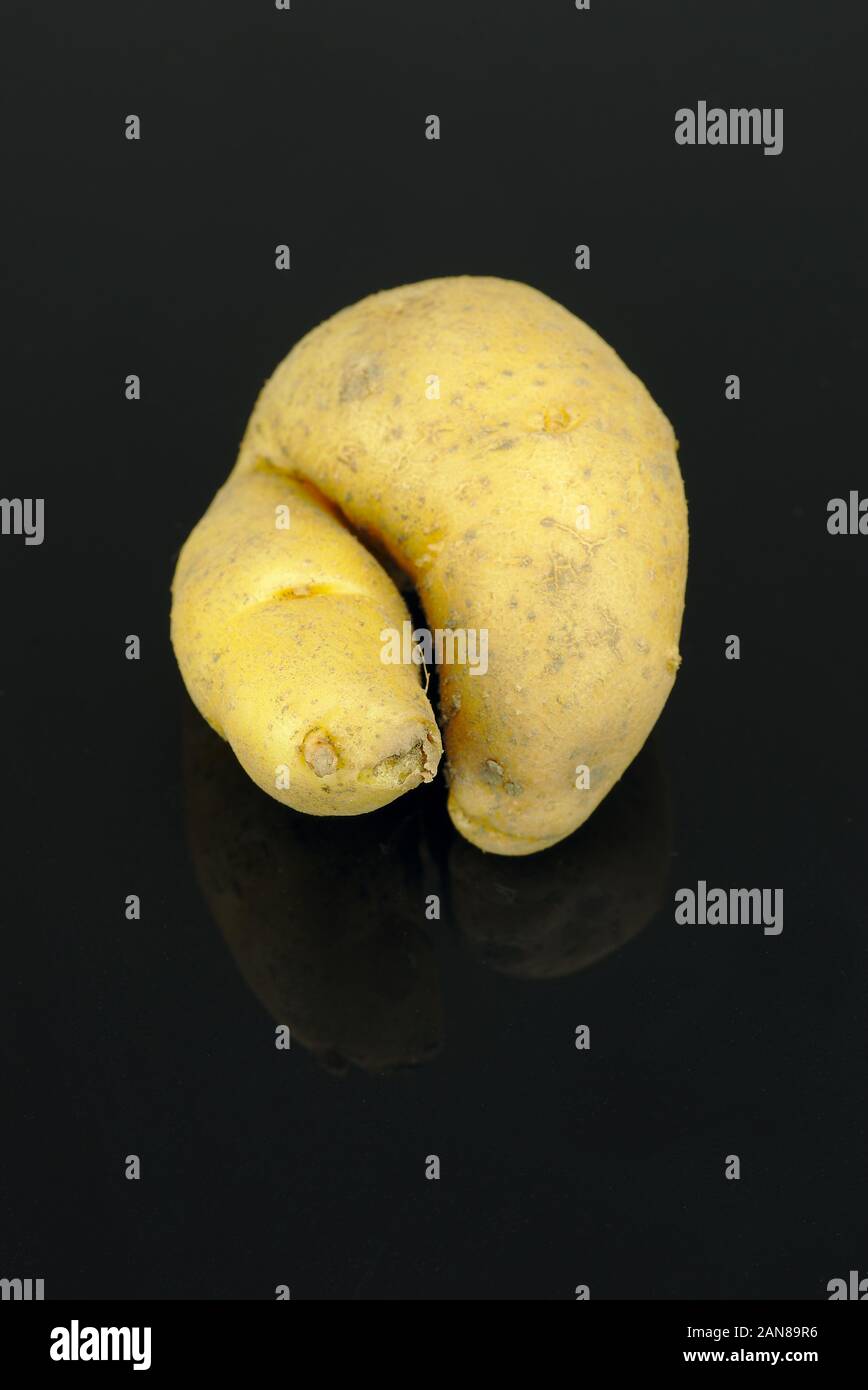 Misshapen potato hi-res stock photography and images - Alamy