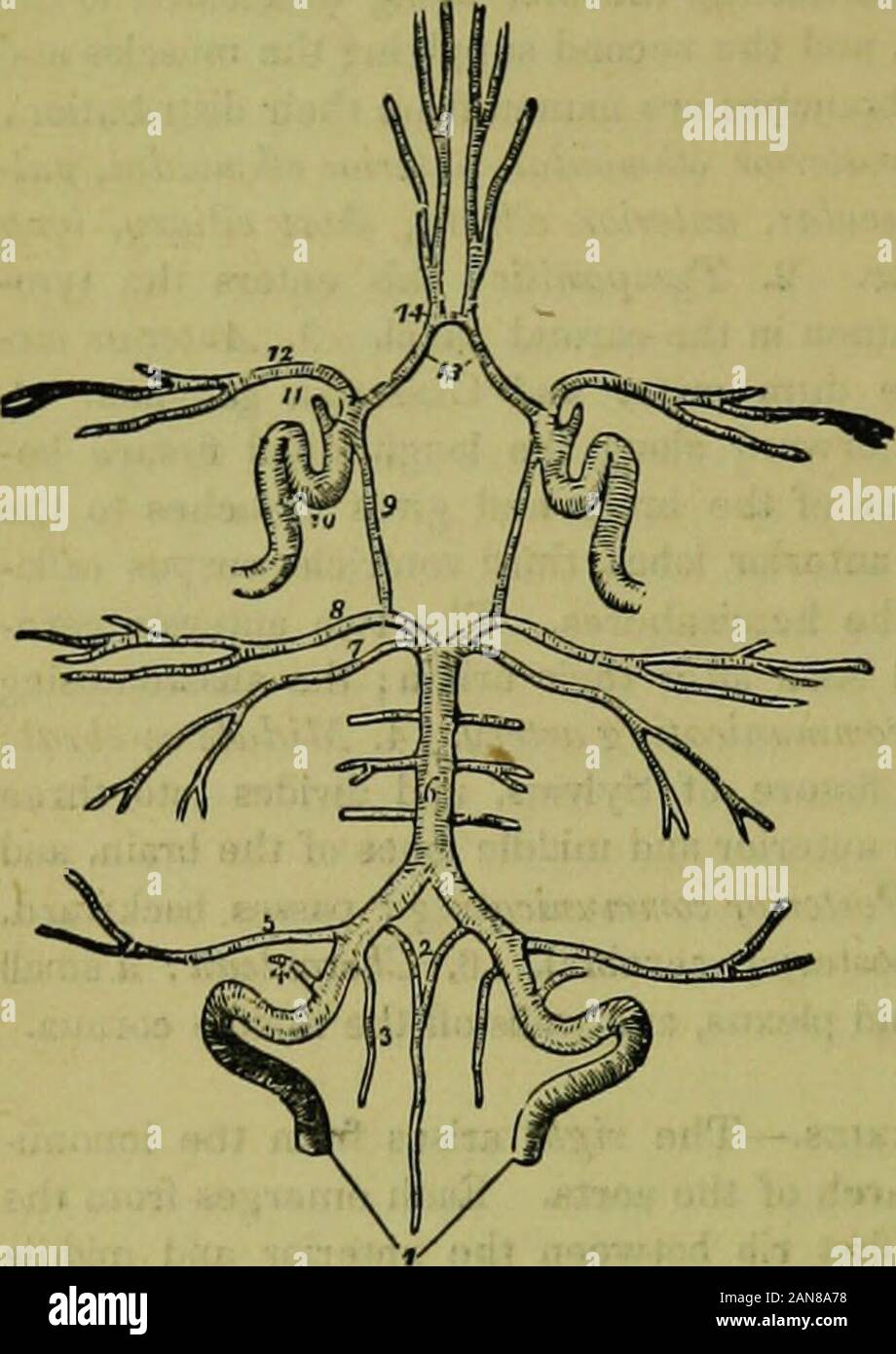 The hydropathic encyclopedia: a system of hydropathy and hygiene ...