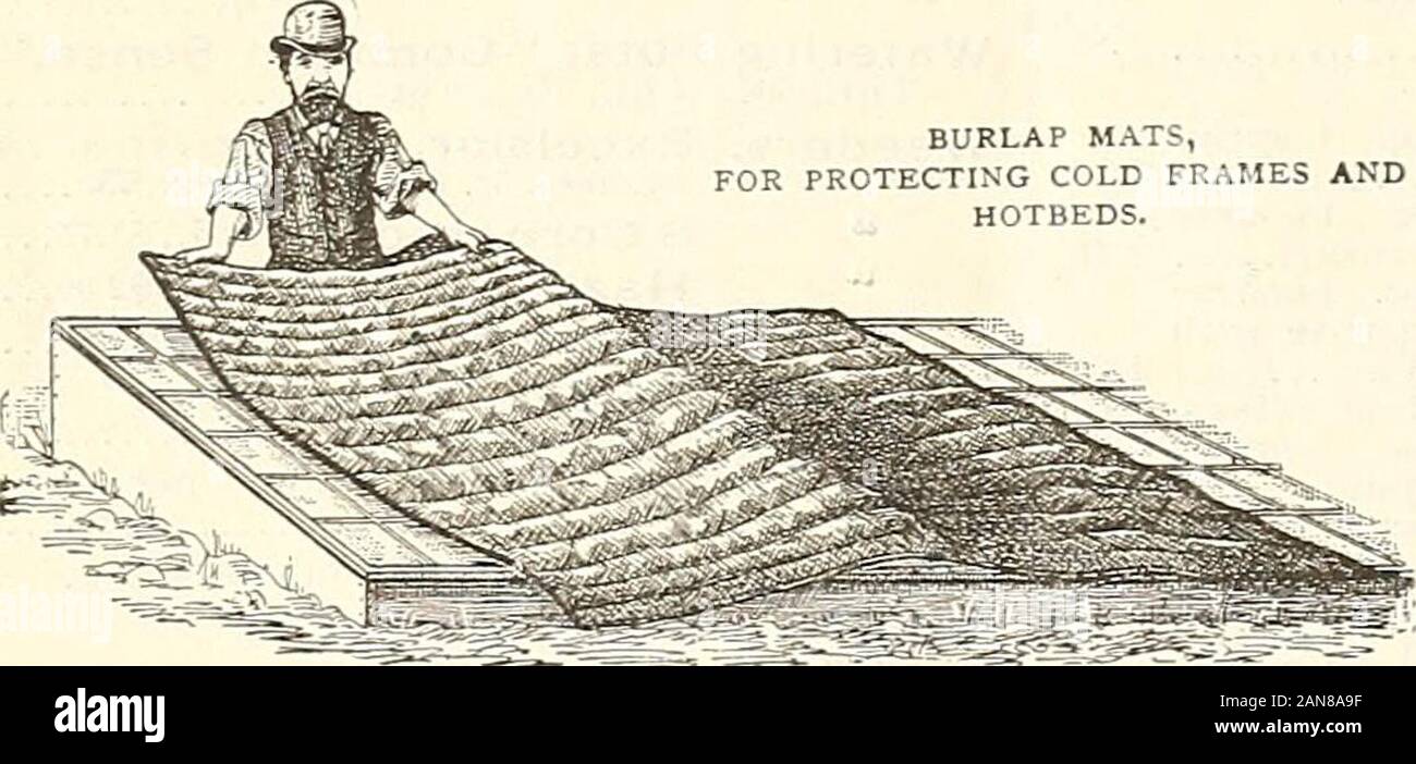 Mildewing hi-res stock photography and images - Alamy