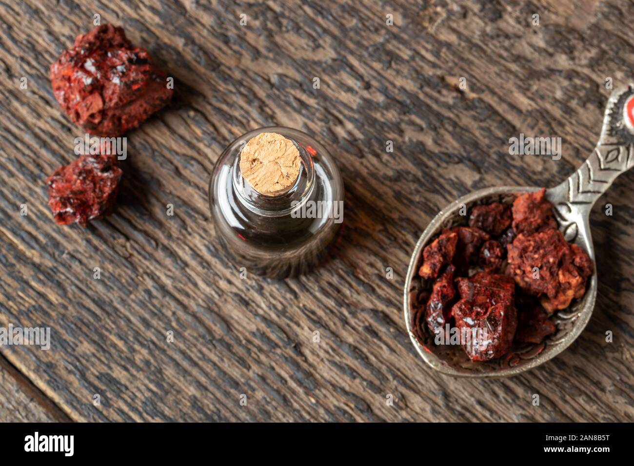 Croton lechleri, or sangre de drago oil and resin Stock Photo - Alamy