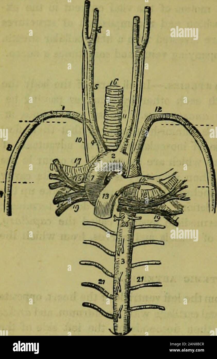 The hydropathic encyclopedia: a system of hydropathy and hygiene ...
