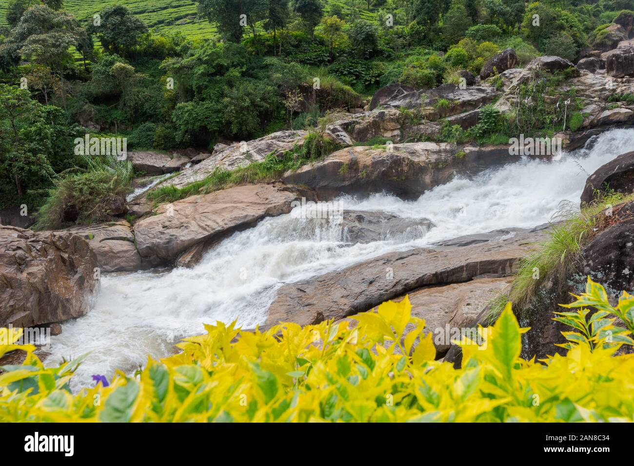 Atukkad Waterfalls near Munnar in Kerala, South India on cloudy day in ...