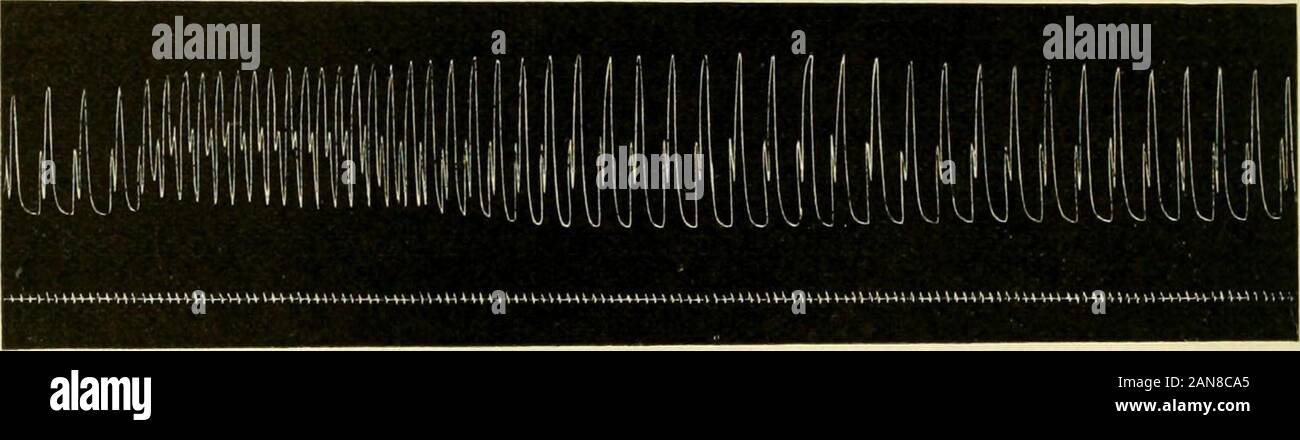 Physiology and biochemistry in modern medicine . s by the white rami ...