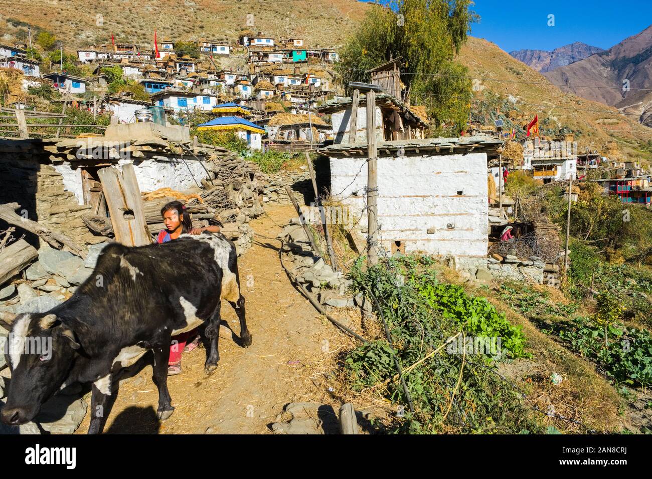 The village of Jupal in Dolpo, Nepal. This is the start point for ...