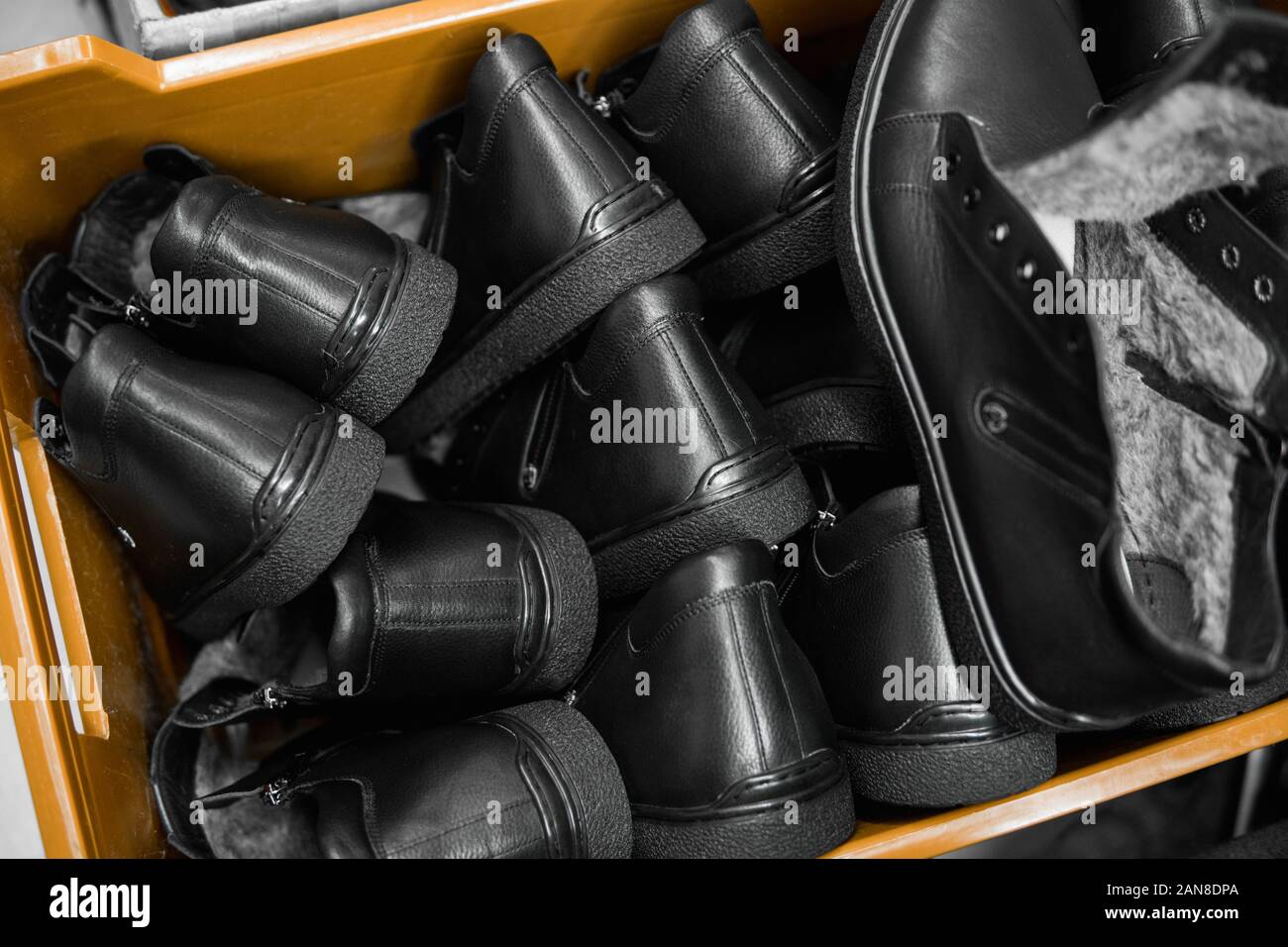 A lot of new black shiny shoes in a box. Shoe factory, finished goods ...