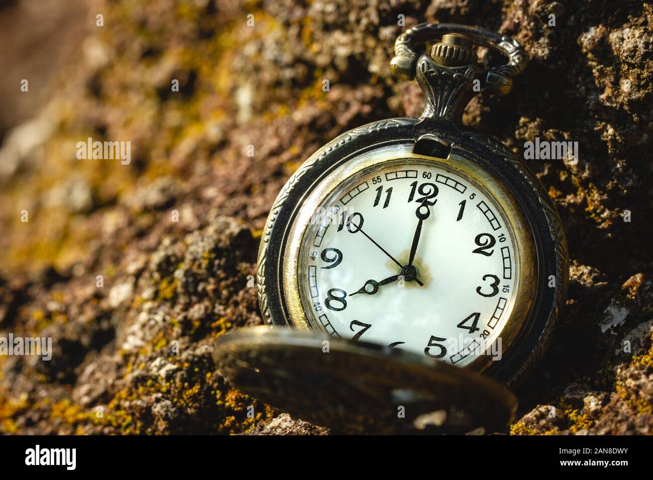 Vintage old pocket watch placed on the rock in forest and morning ...