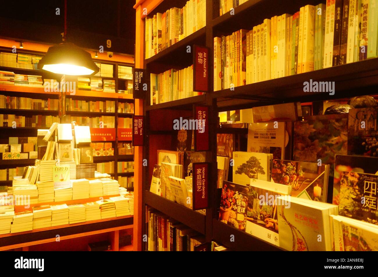 Shenzhen, China: people shop for books or read at a bookstore in a ...