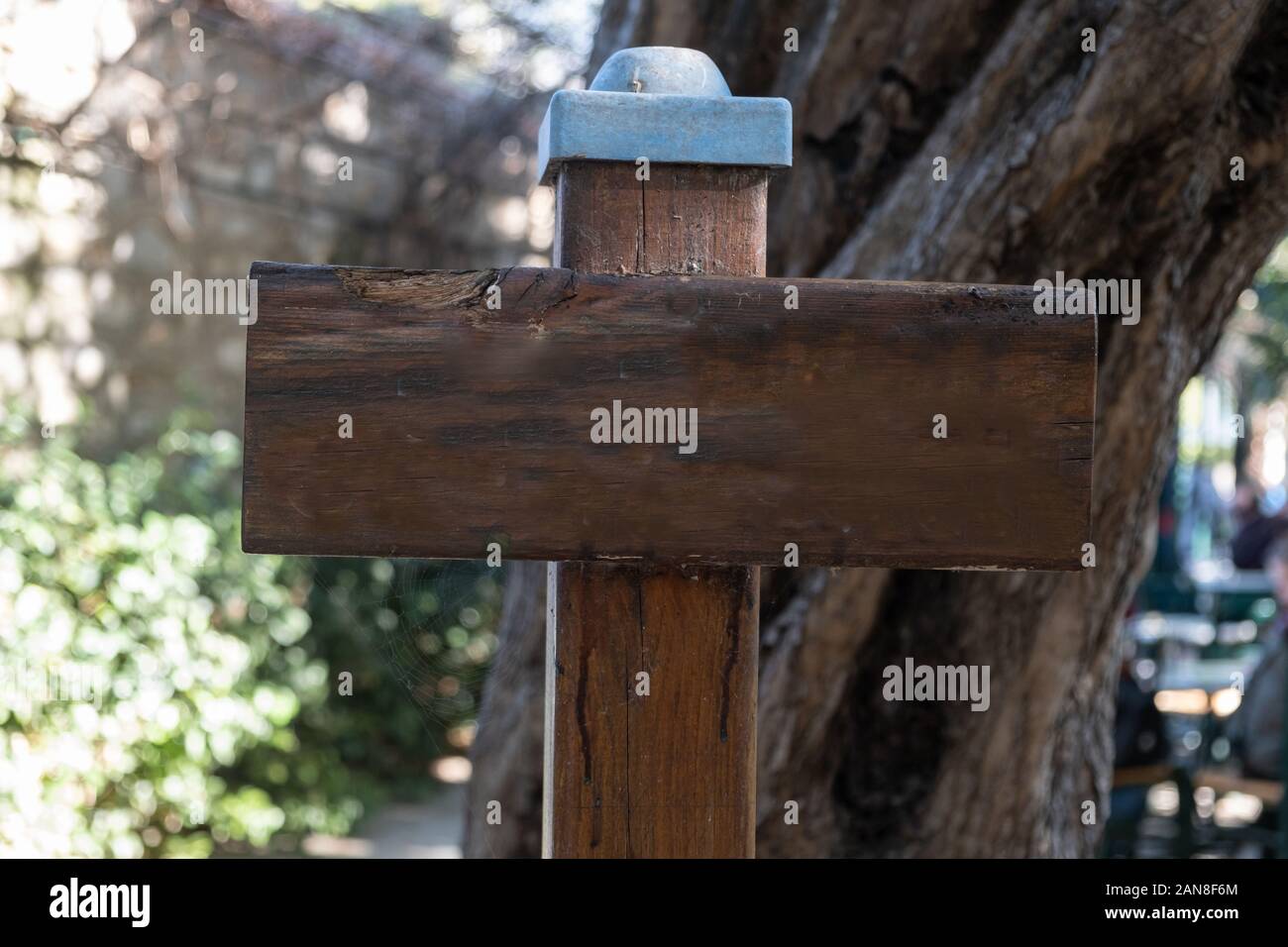 Wood sign template. Blank infornative board on pole, forest trees ...
