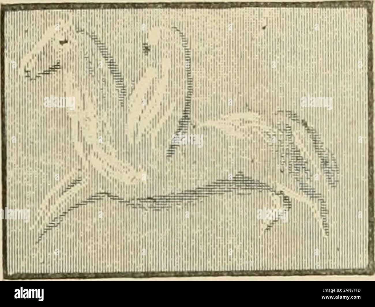 Lord aries hi-res stock photography and images - Alamy