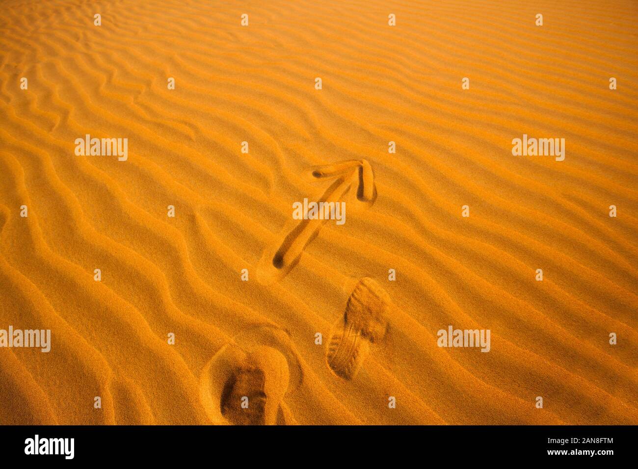 arrow in the desert sand pointing forward, leader concept Stock Photo ...