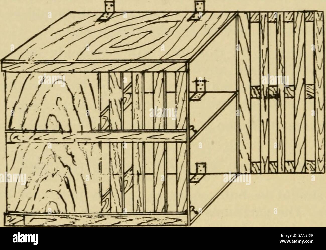 American squab culture; a practical work on squab culture covering ...