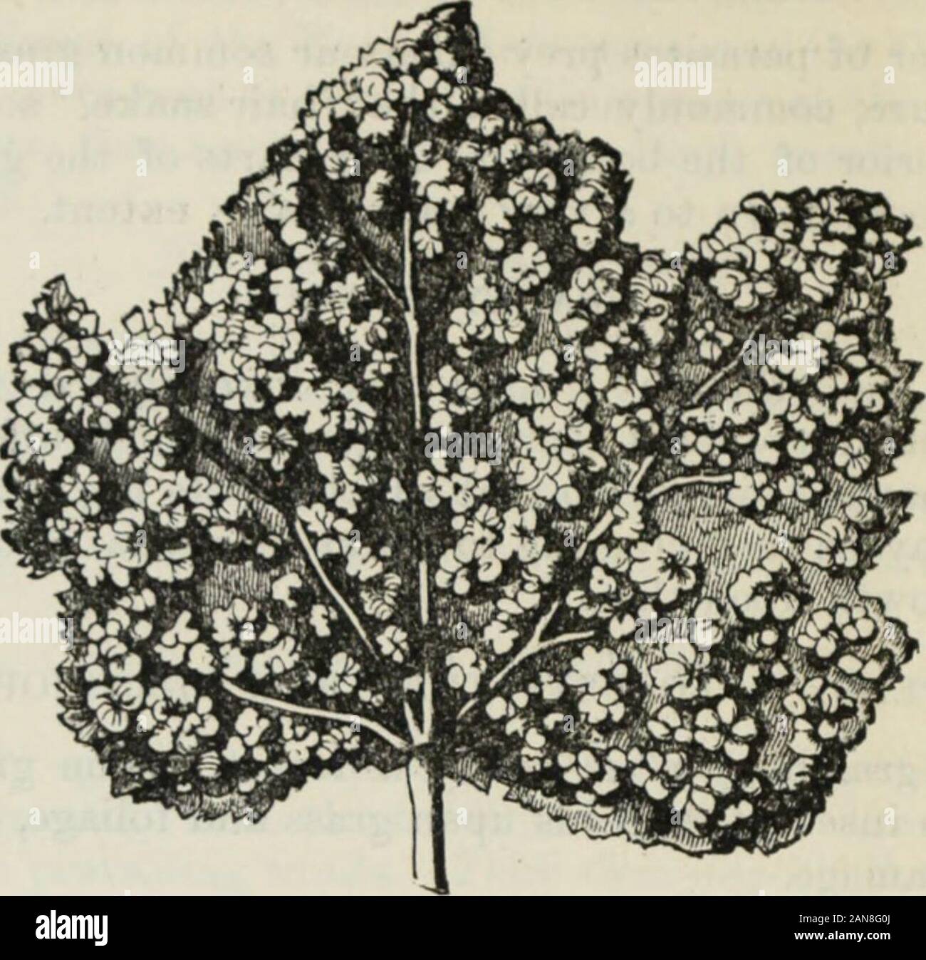 Report of the Commissioners . Fig. 31. Fig. 31 represents different ...