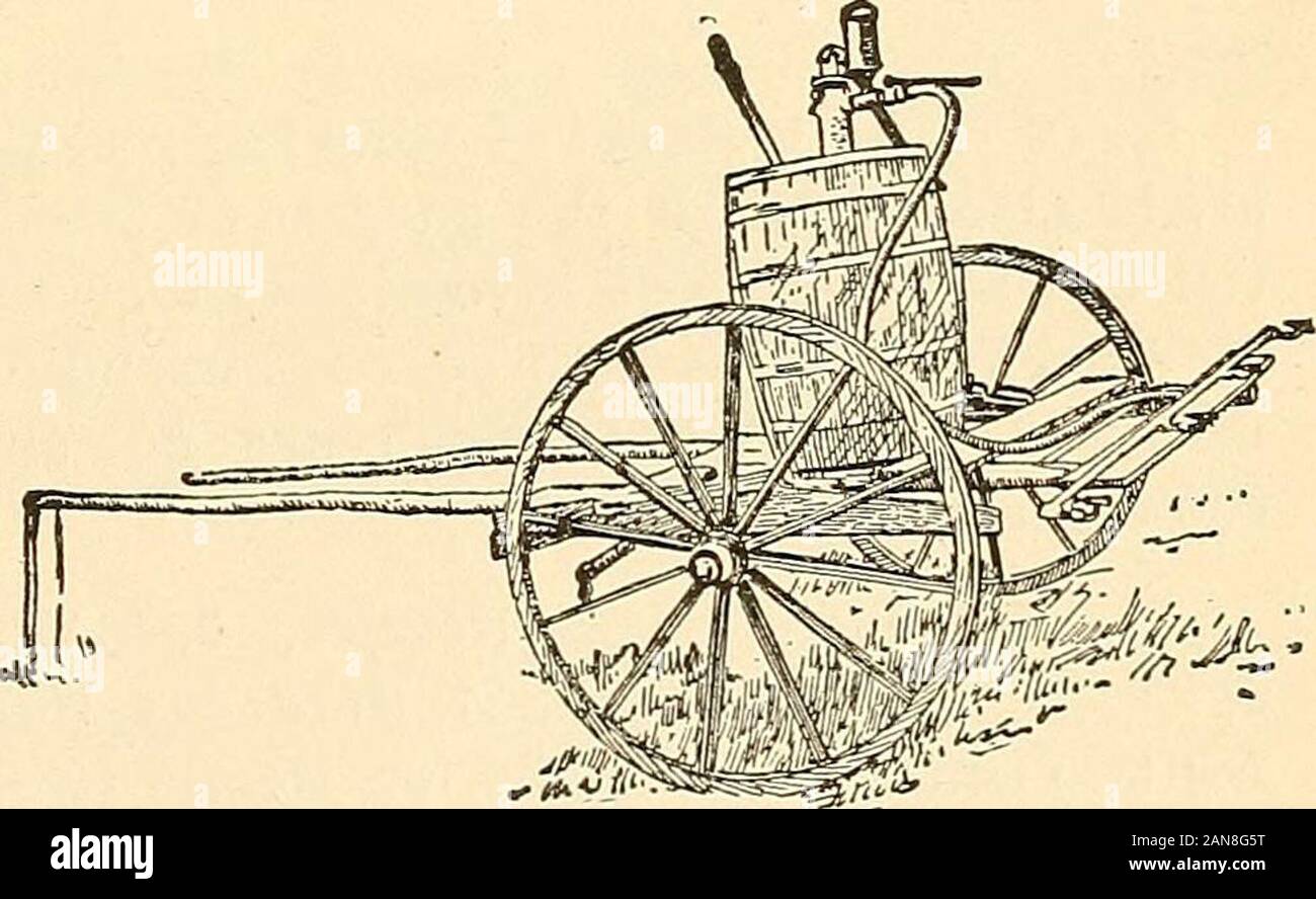 Throwing fruit to each other hi-res stock photography and images - Alamy