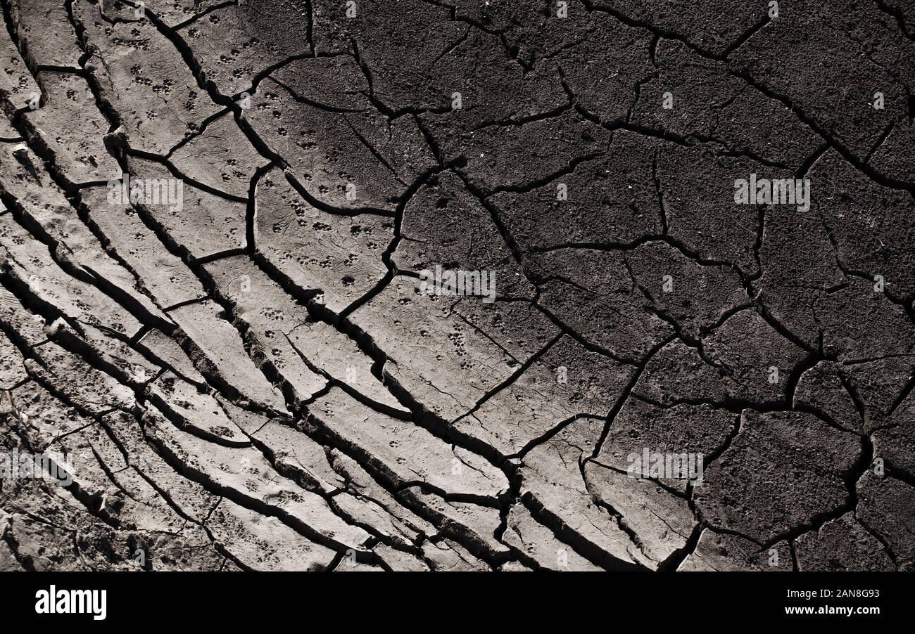 cracked soil texture concept of dry ground and ecology Stock Photo - Alamy