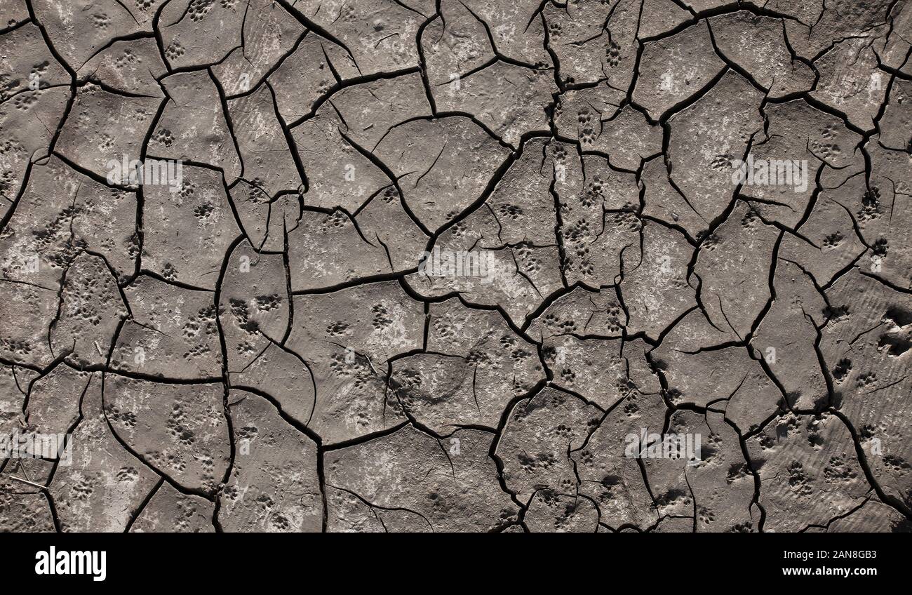 cracked soil texture concept of dry ground and ecology Stock Photo - Alamy
