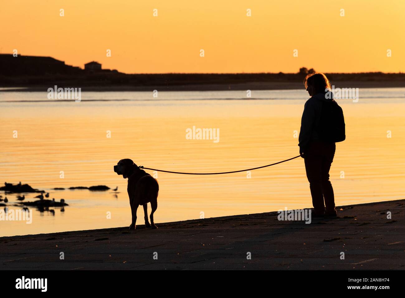Walk with dog animal silhouette hi-res stock photography and images - Alamy