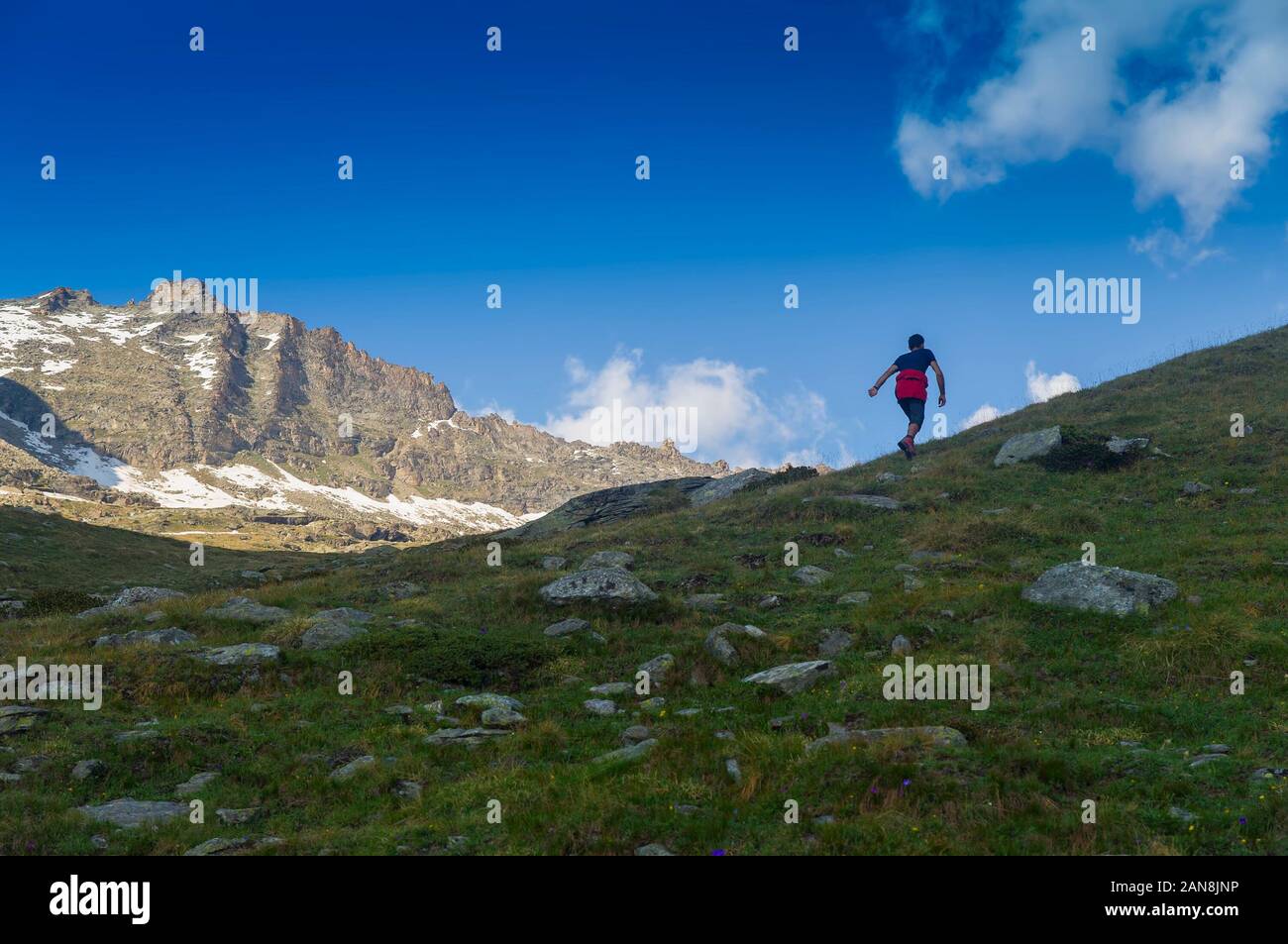 man running and climbing Alps mountains, Gran Paradiso. Italy Stock ...