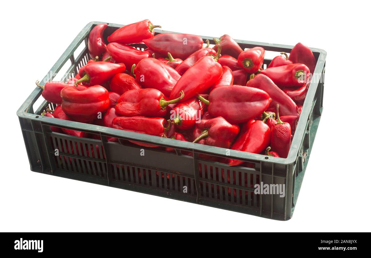 red pepper vegetable, pile isolated on white background Stock Photo - Alamy