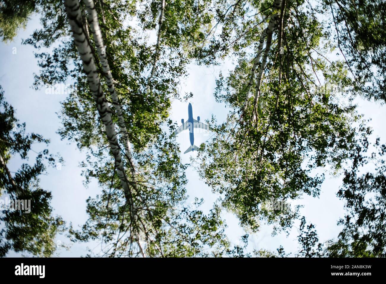 Woodland ecosystem hi-res stock photography and images - Alamy