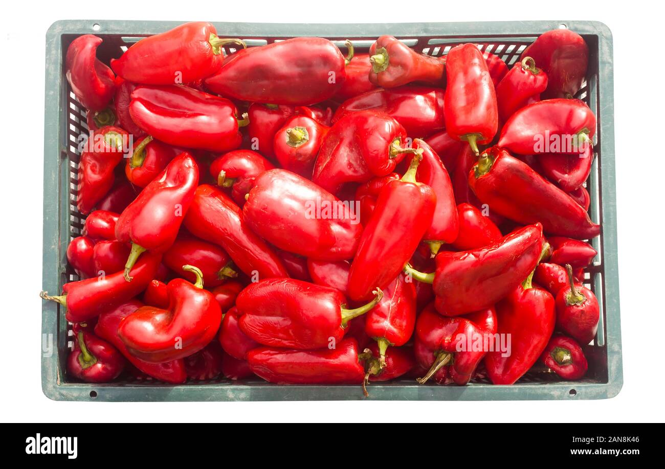 red pepper vegetable, pile isolated on white background Stock Photo - Alamy