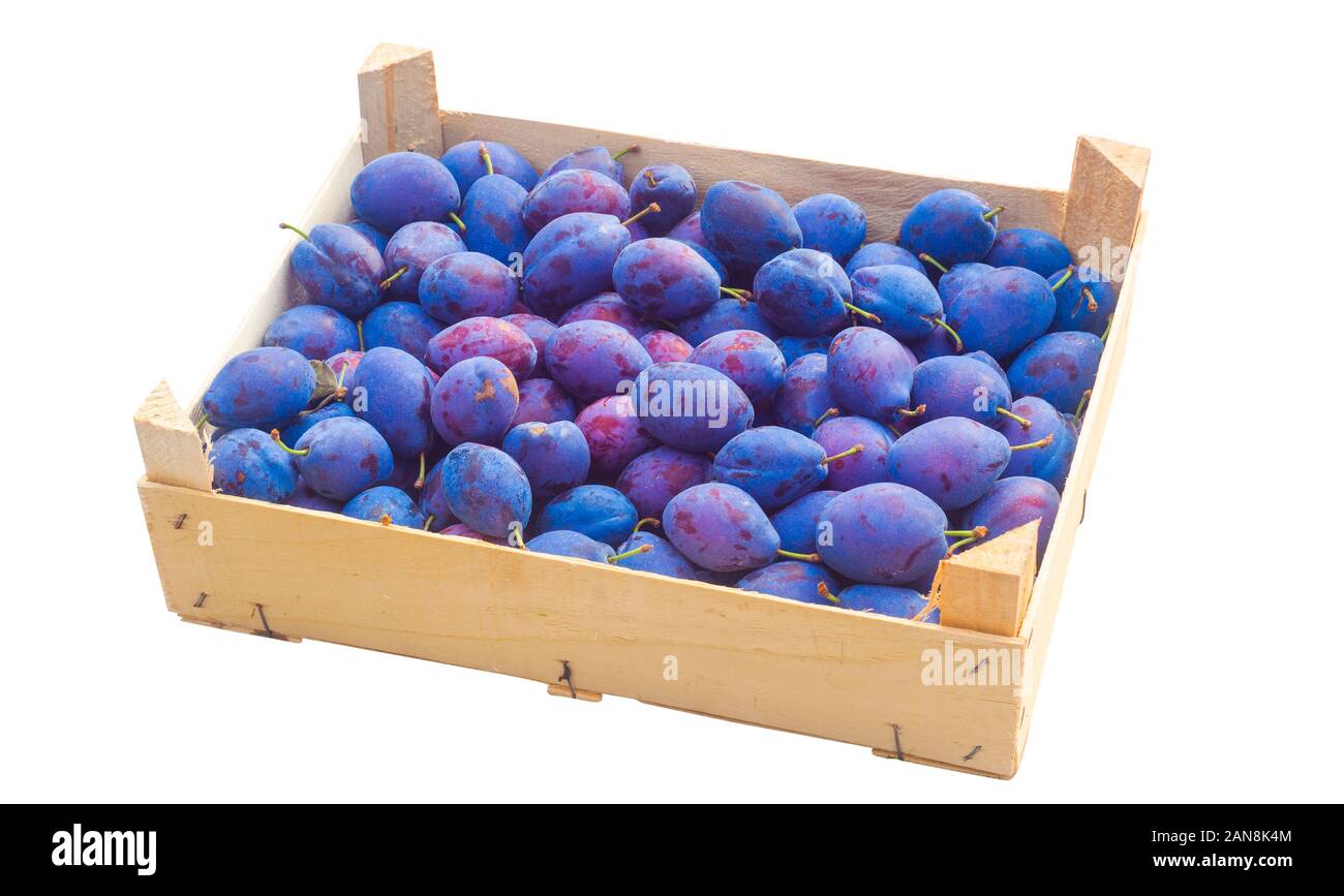 set of plume fruit isolated on white background Stock Photo - Alamy