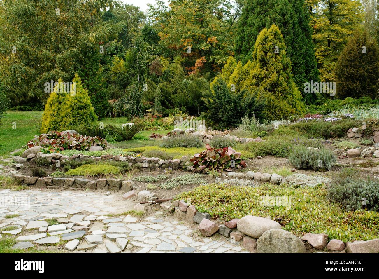 Alpine botanical garden with stones and different growing plants ...