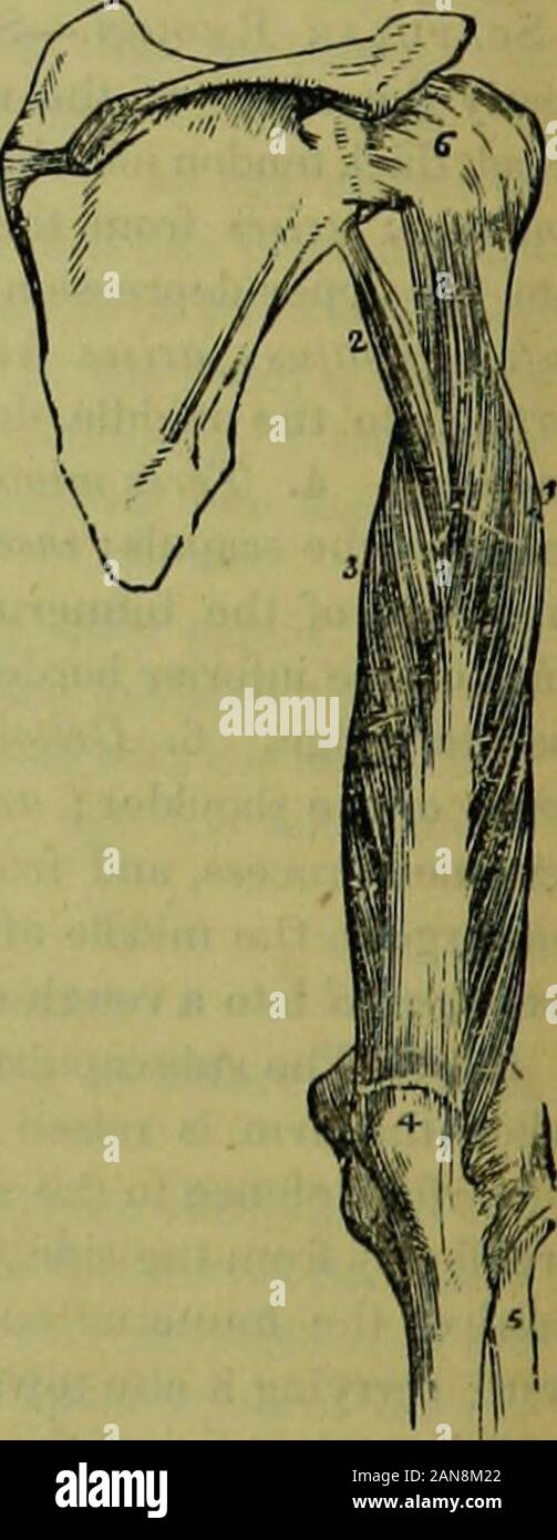 The hydropathic encyclopedia: a system of hydropathy and hygiene ...