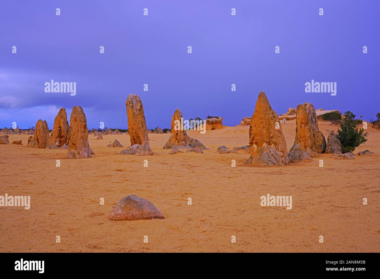 Pink sunrise sky over limestone rock formations in the Pinnacles Desert ...