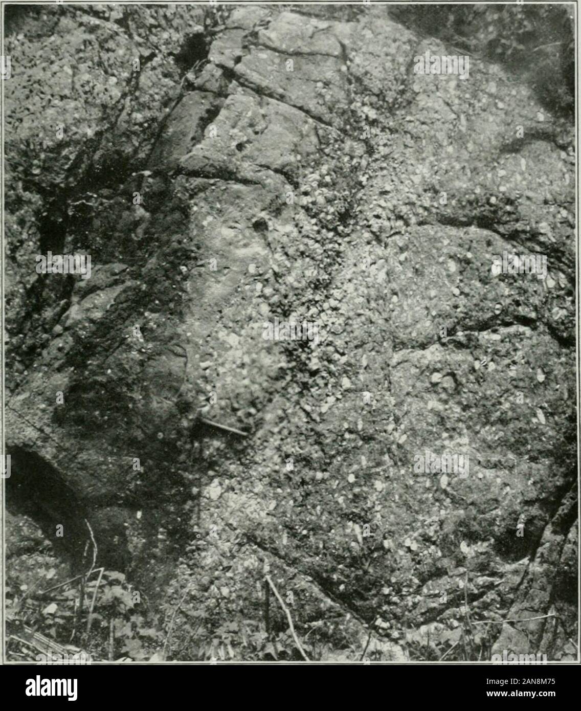 Quartzite pebbles hi-res stock photography and images - Alamy