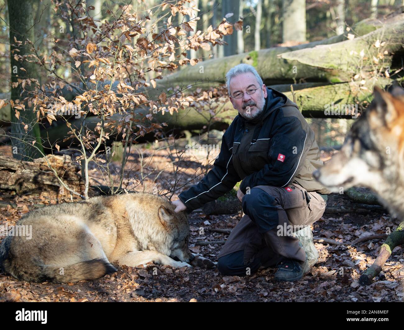 Zoo raised wild animals hi-res stock photography and images - Alamy