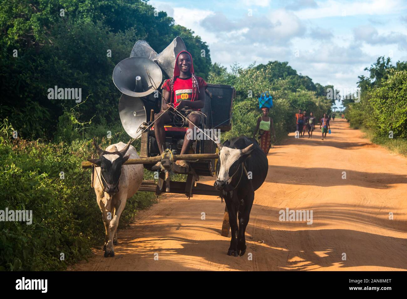 Madagascar sound system Stock Photo - Alamy