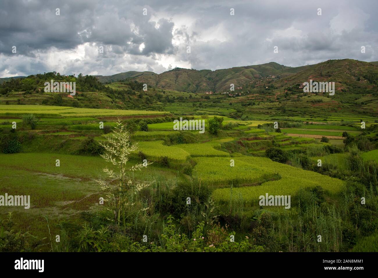 Rice Terraces Madagascar Stock Photo - Alamy