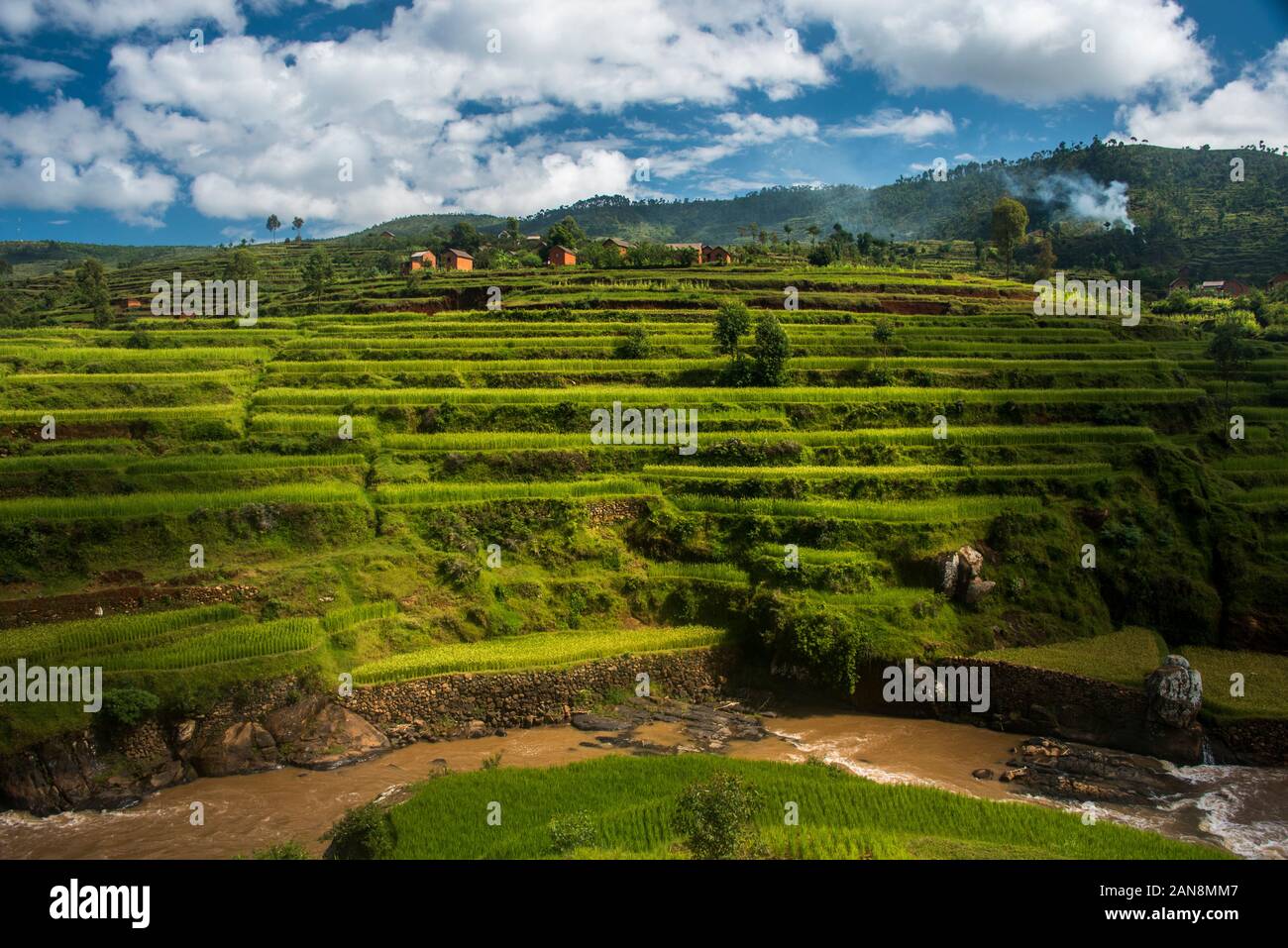 Rice Terraces Madagascar Stock Photo - Alamy