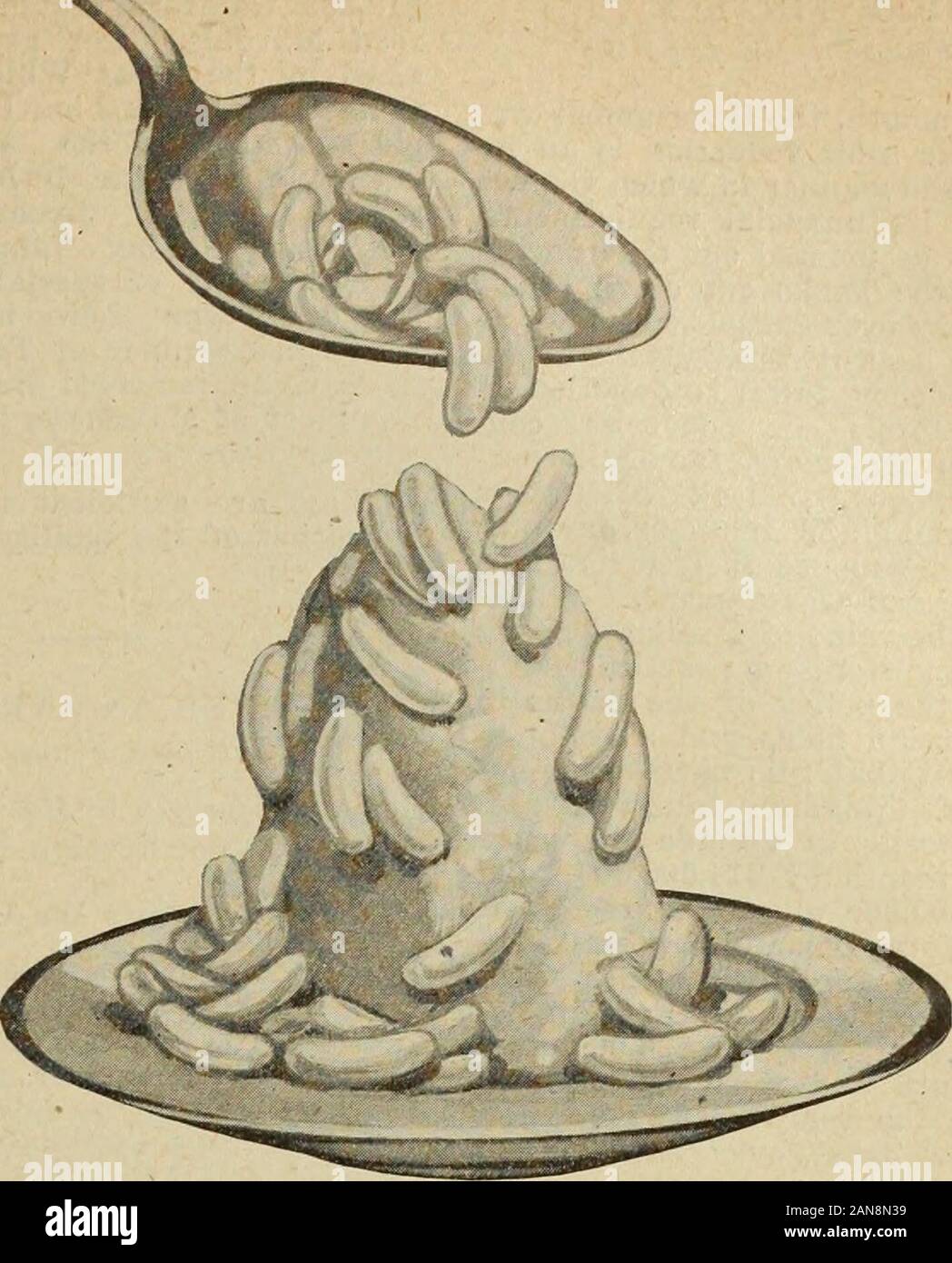 Connaught a type hi-res stock photography and images - Alamy